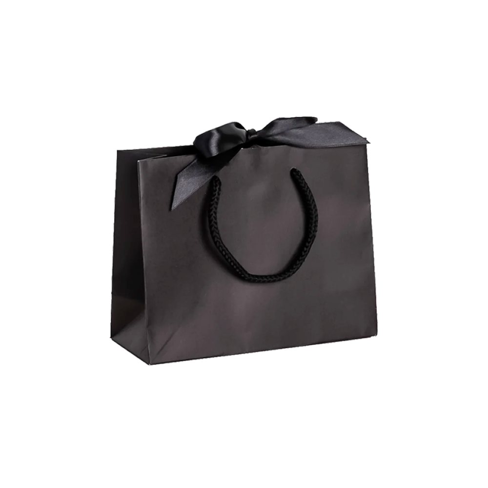 Small Landscape Black Paper Gift Bag With Rope Handles and Ribbon ...