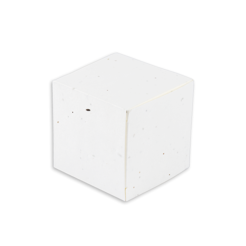 Square Flatpack Plantable Box | Tiny Box Company