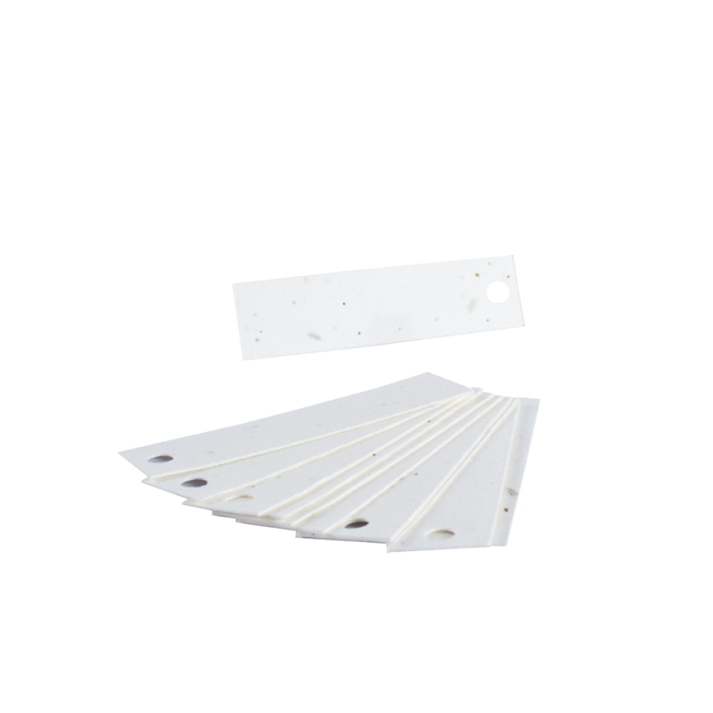 Plantable Tags - Thin | Tiny Box Company