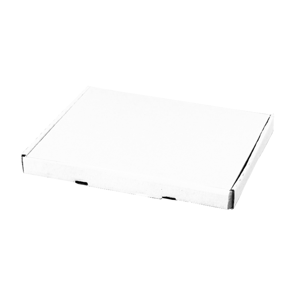 Medium White Corrugated Postal Box | Tiny Box Company