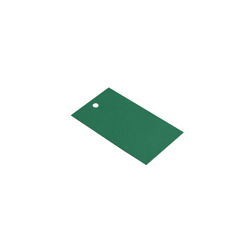 Pack of 10 Green Gift Tags | Tiny Box Company