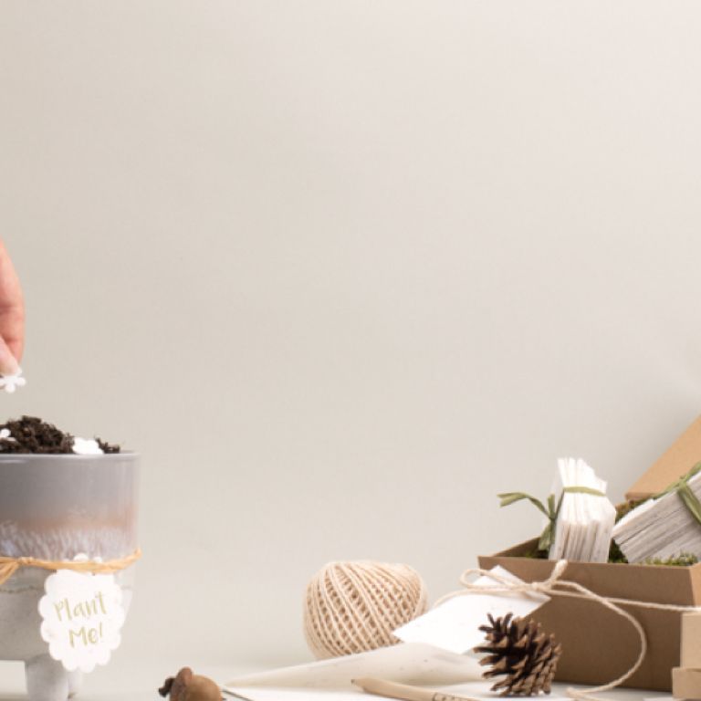 Wholesale Gift Boxes & Jewellery Packaging | Tiny Box Company