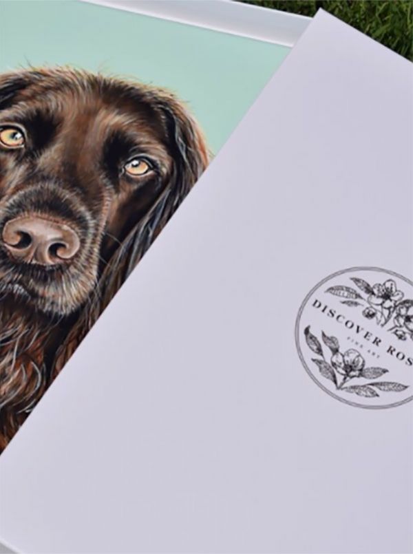 Spotlight | Tiny Box Company